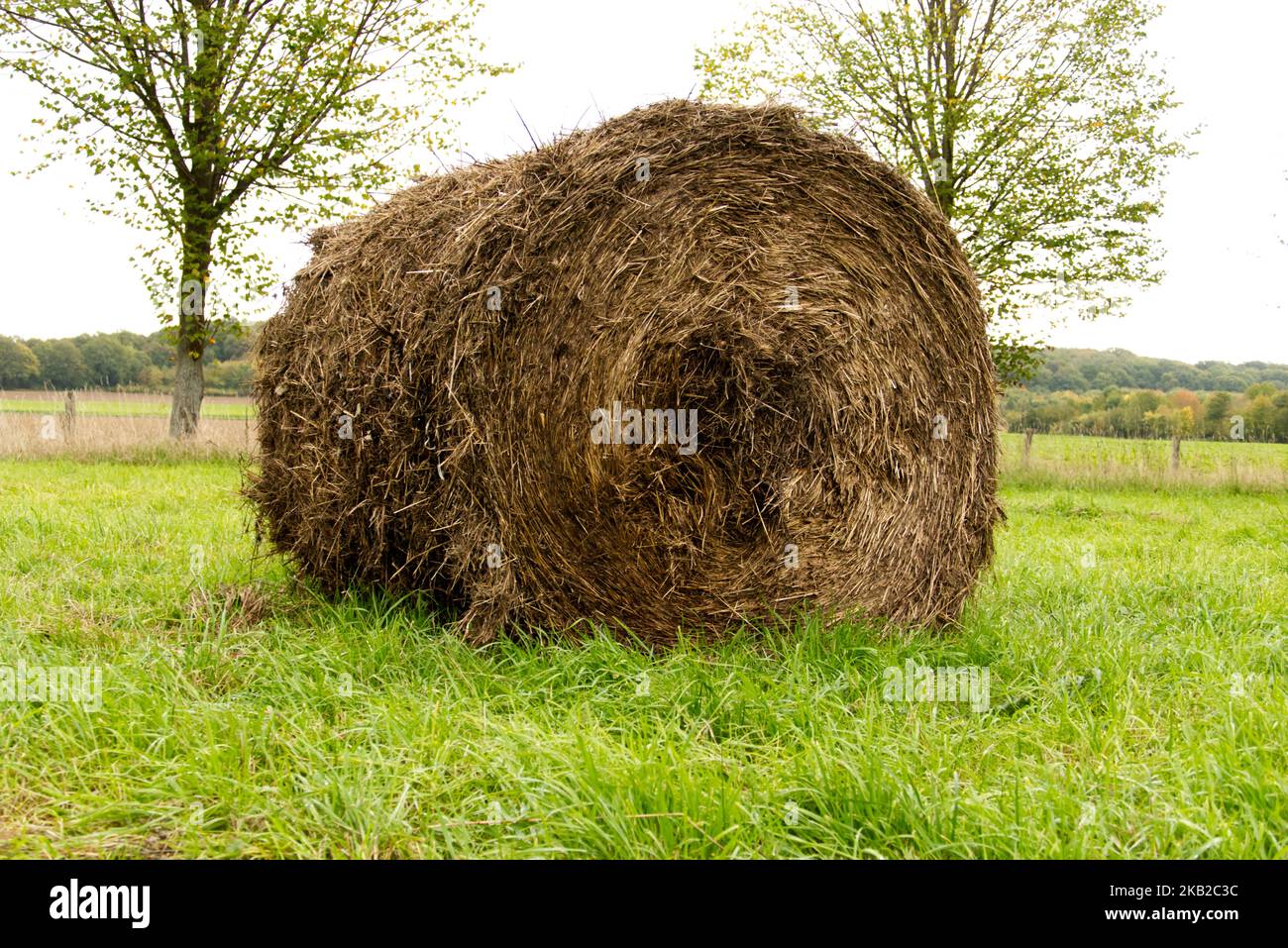 A round bale of hay in a grassy field. There are trees and more fields ...