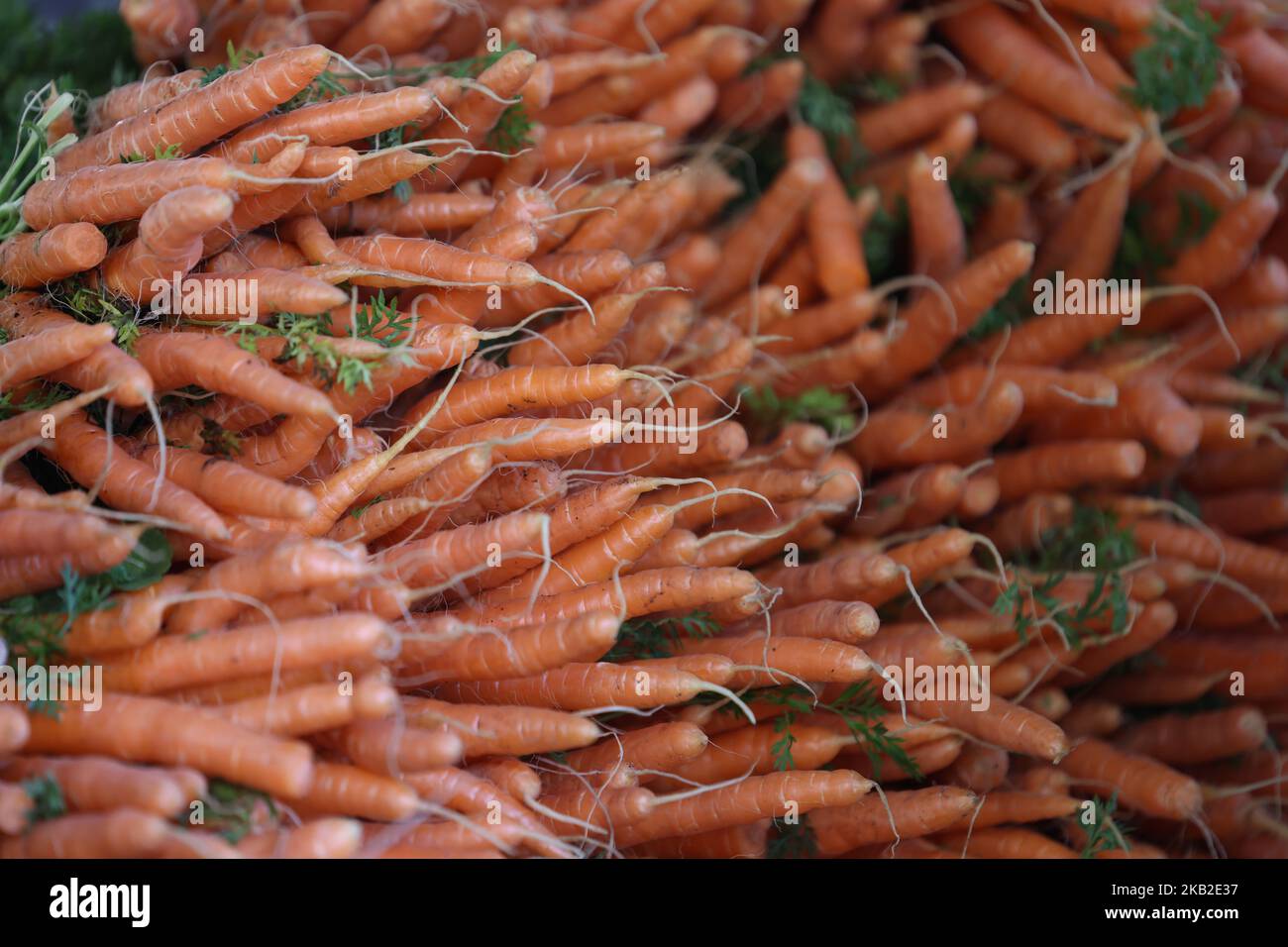 Carrots on display at a the Union Square Farmers Market in New York ...