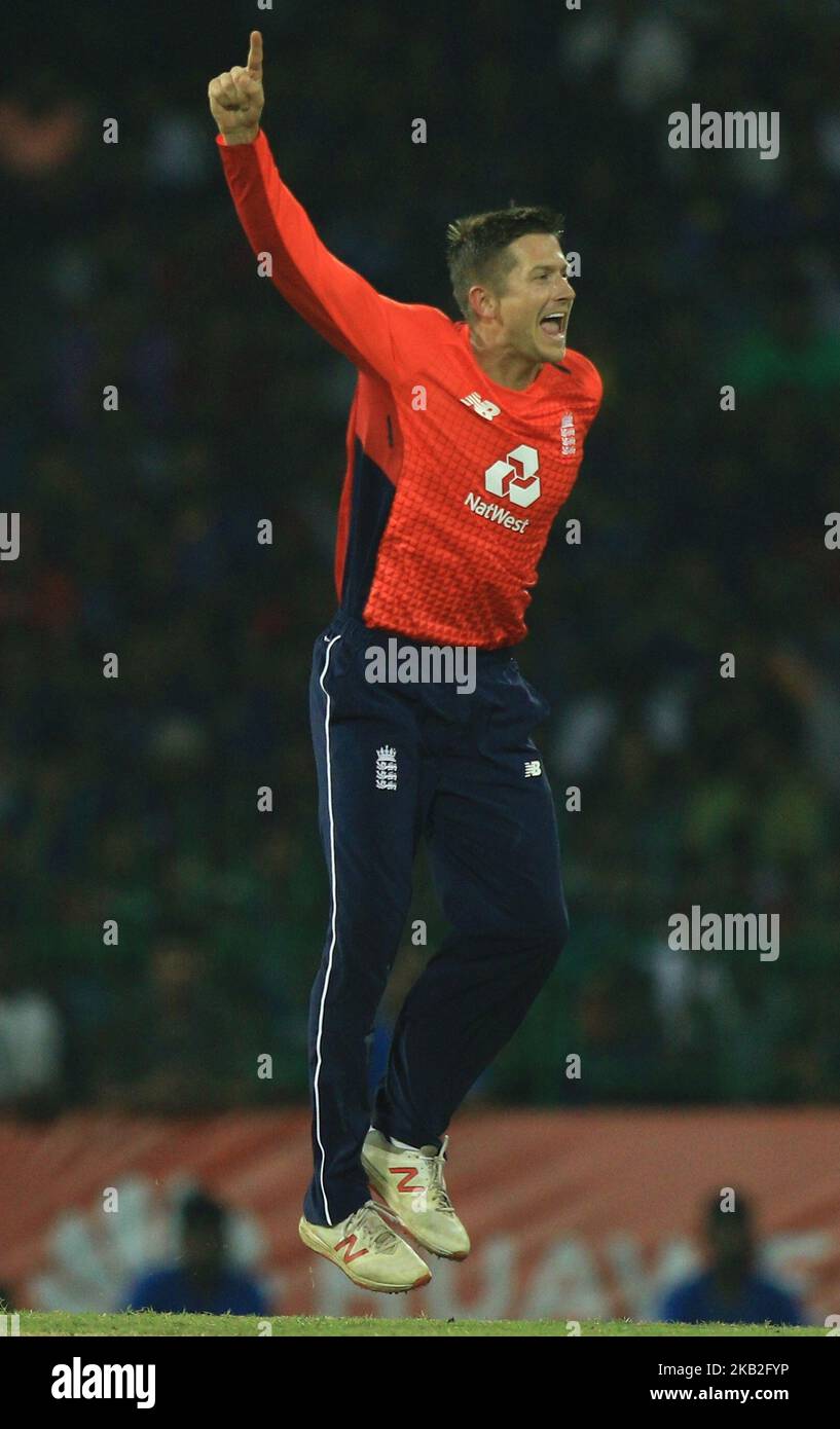 England cricketer Joe Denly celebrates after taking a wicket during the ...