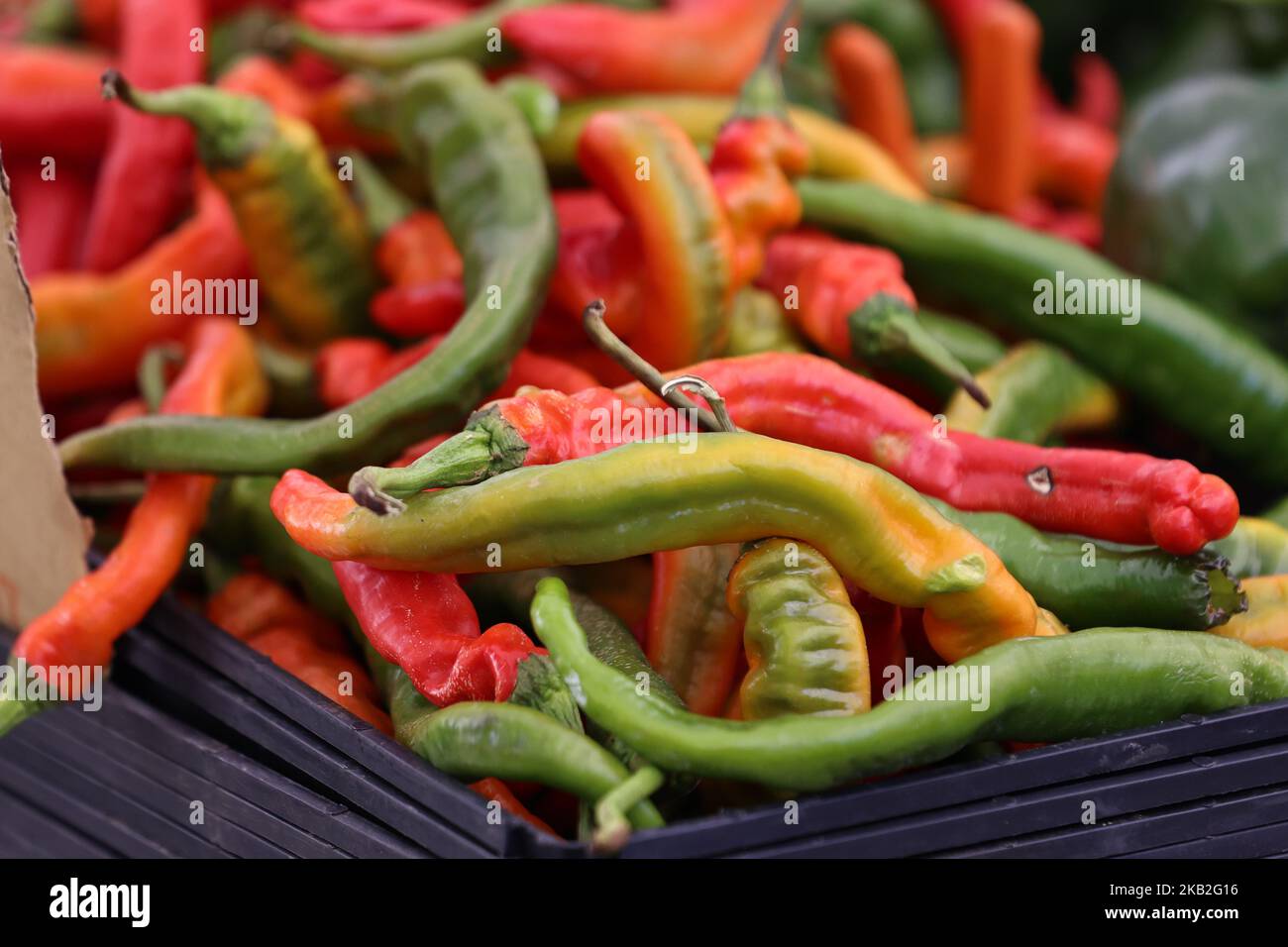 Spicy hot peppers on display at a the Union Square Farmers Market in ...