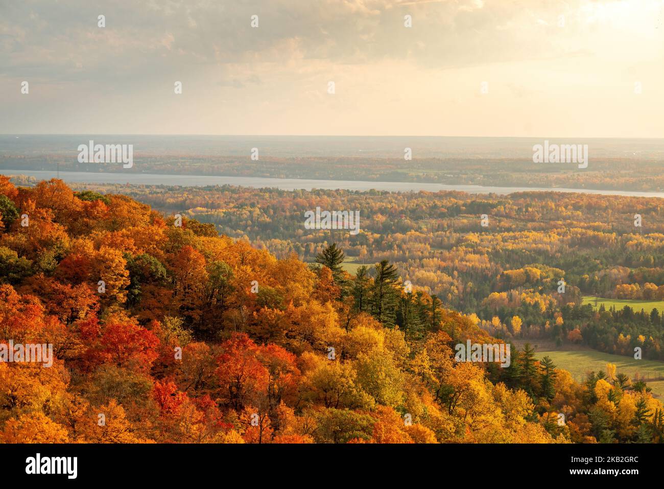 Fall colors trees and river Ottawa Stock Photo - Alamy
