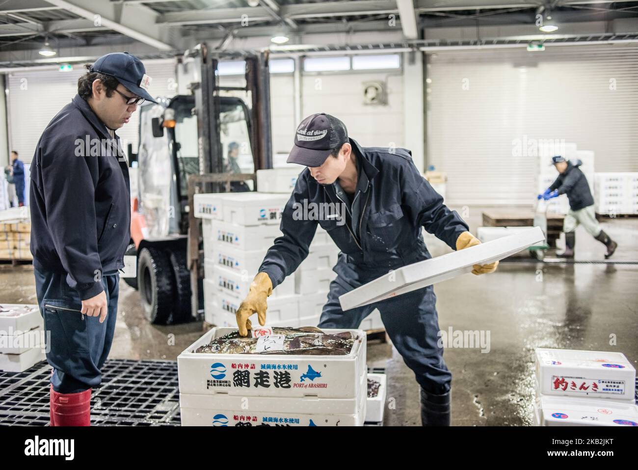 The early morning fish landing and auction at Japan Fisheries ...