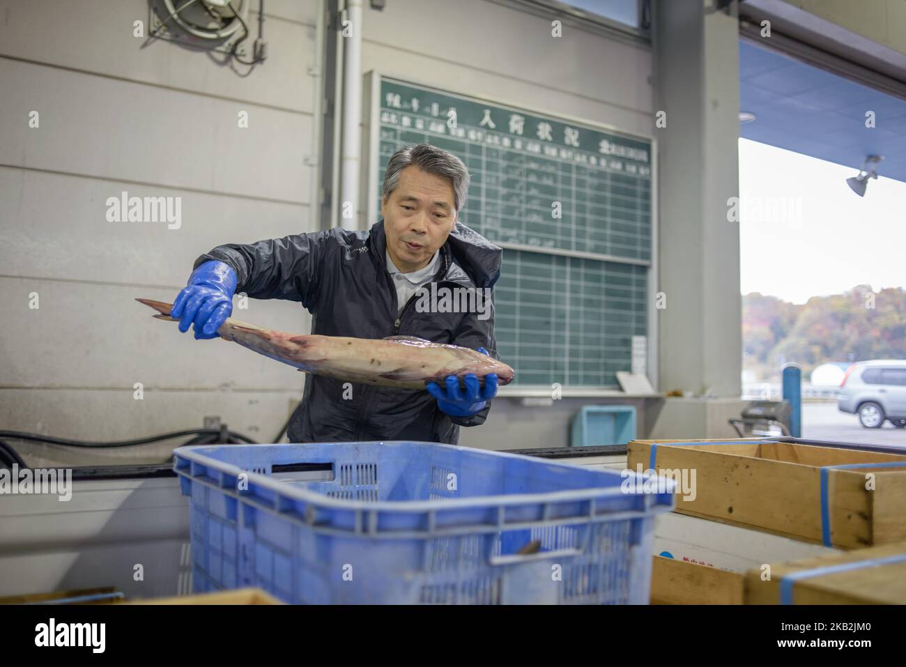 Fisheries cooperative fish market hi-res stock photography and images ...
