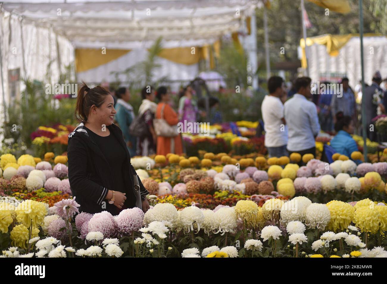 Floral expo in nepal hi-res stock photography and images - Alamy