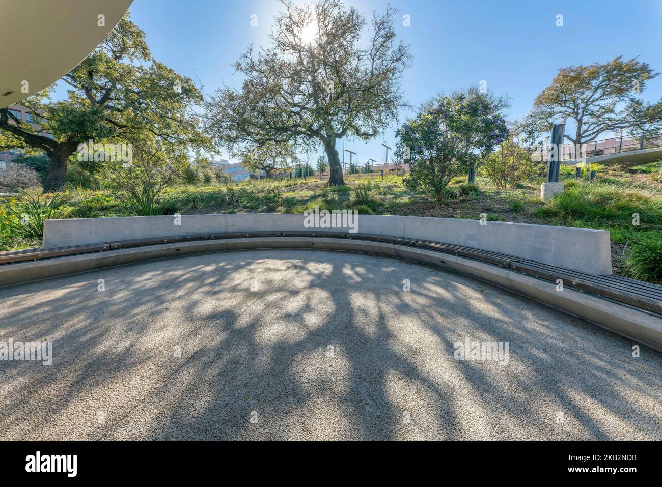 Paved path for tourists and visitors of scenic Waterloo Park in Austin ...
