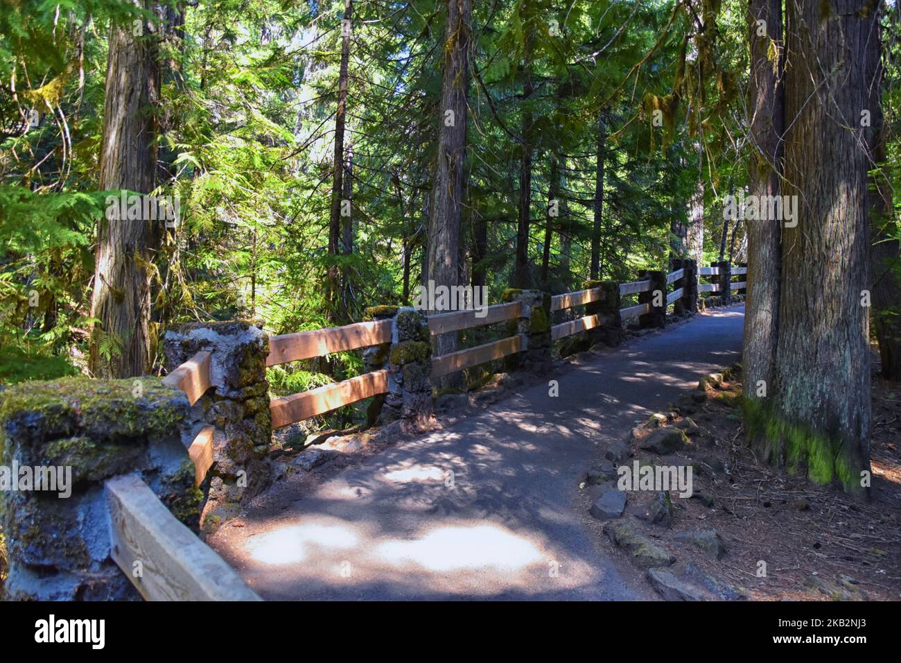 Sahalie Koosah Tamolitch falls hiking trail on McKenzie river ...