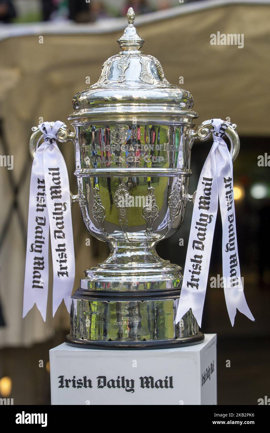 The Trophy pictured during the Irish Daily Mail FAI Cup Final between ...
