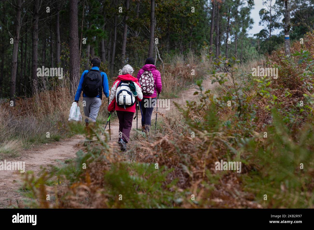 Pilgrims on the Portuguese Camino de Santiago as they pass through the ...