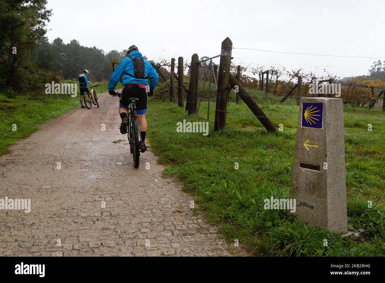 Pilgrims on bicycles near a milestone on the Camino de Santiago ...