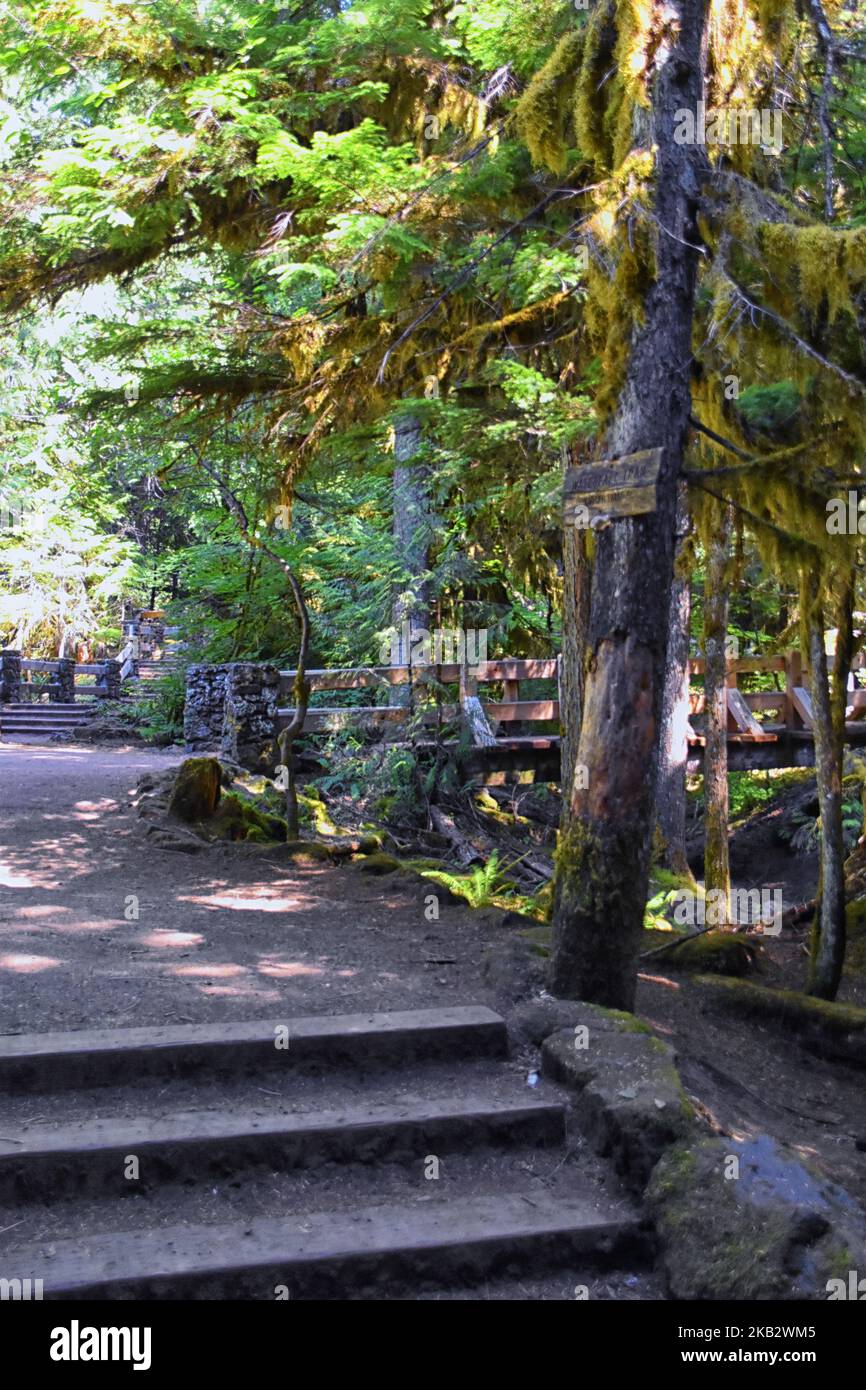 Sahalie Koosah Tamolitch falls hiking trail on McKenzie river ...