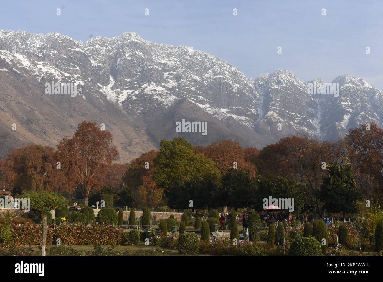 Shalimar bagh gardens srinagar hi-res stock photography and images - Alamy