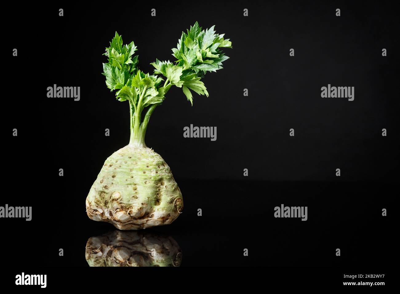 Fresh celery root shot with greens on a black background. Nutrition and ...