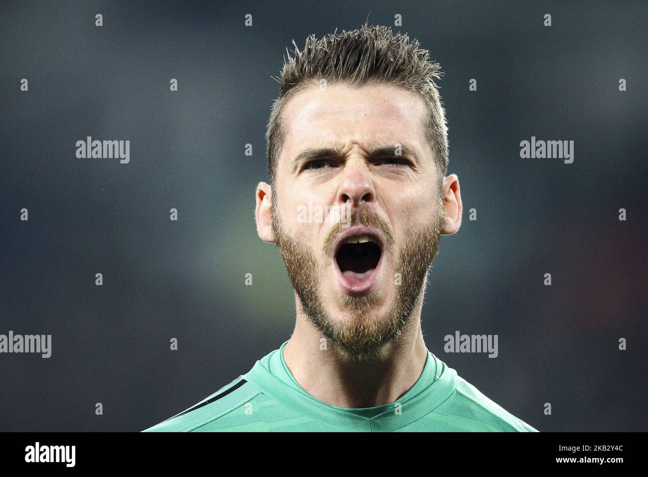 Manchester United goalkeeper David de Gea (1) celebrates during the ...
