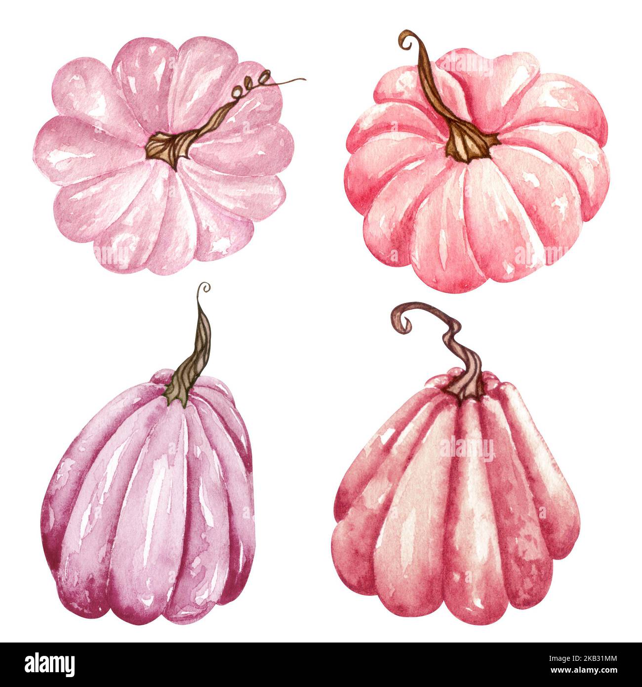 Watercolor pink pumpkin set, floral pumpkins, Halloween clipart, autumn ...