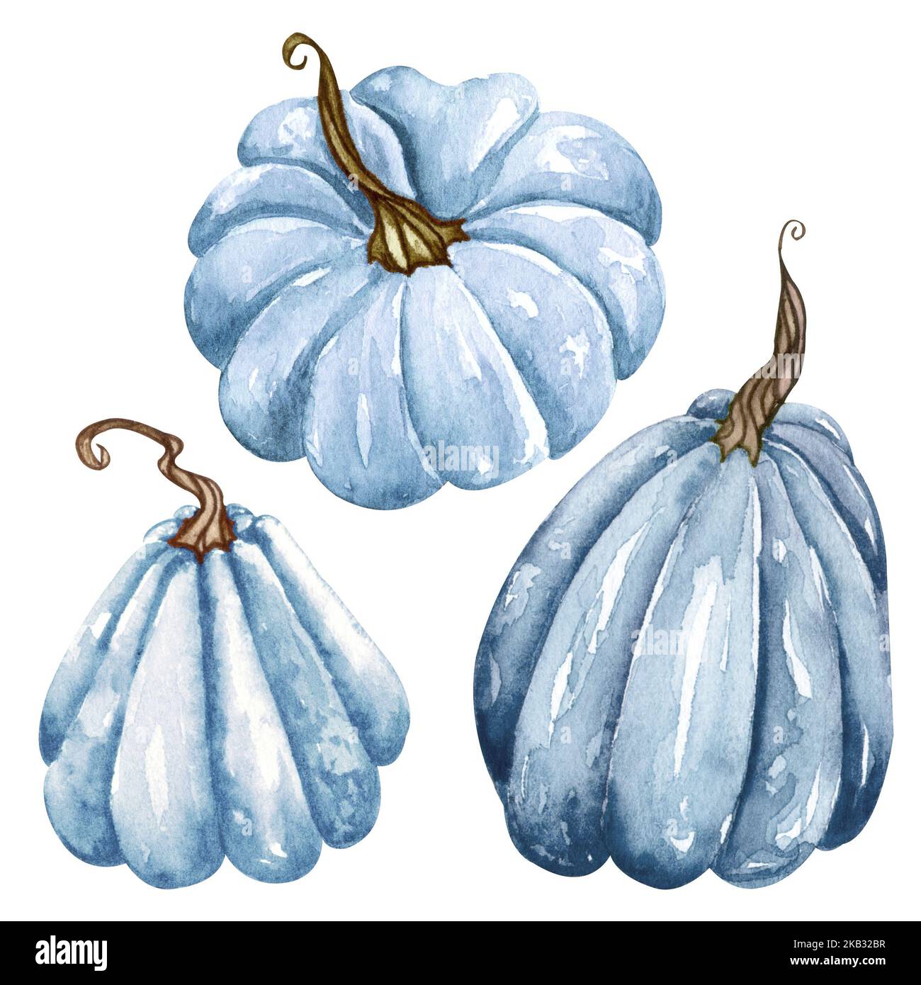 Watercolor blue pumpkin set, floral pumpkins, Halloween clipart, autumn ...