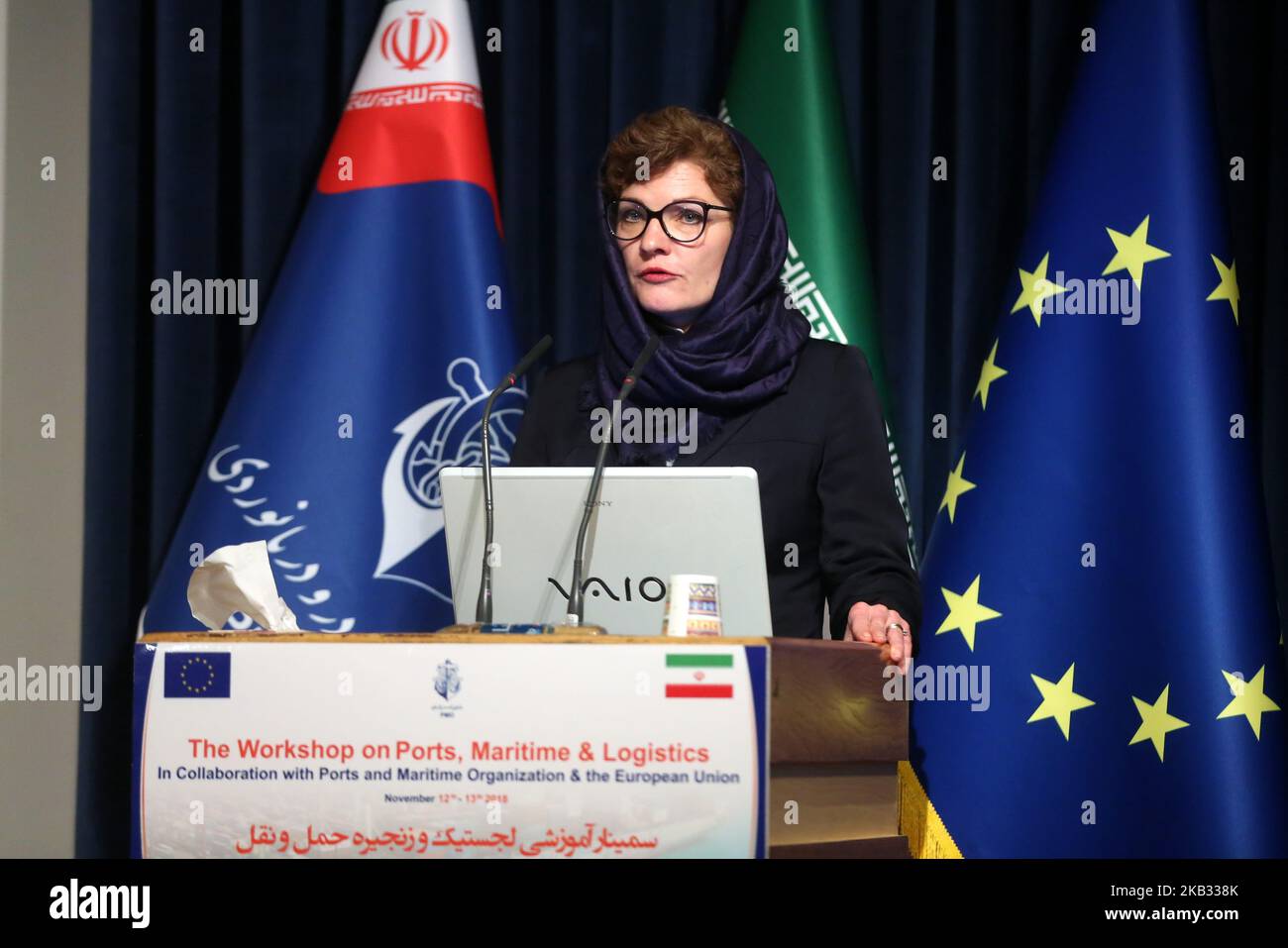 Maja Bakran Maricic deputy general director of DG MOVE (DG Mobility and ...