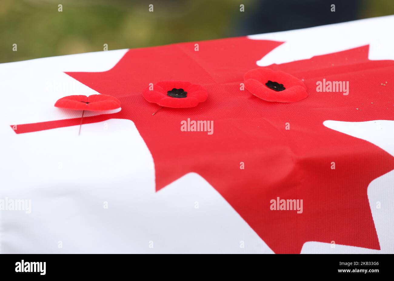 Poppies rest on a Canadian flag to commemorate members of the military ...