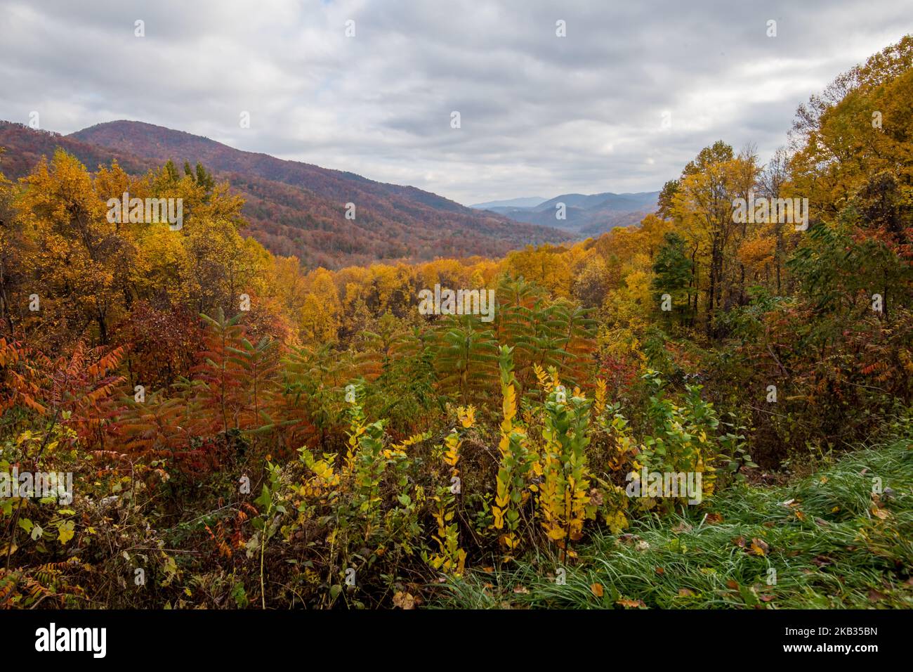 Views of the Great Smoky Mountains National Park are seen in Tennessee ...