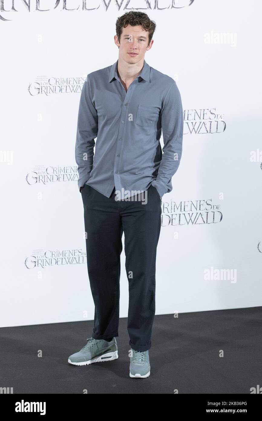 Actor Callum Turner attends 'Animales Fantasticos: Los Crimenes De ...