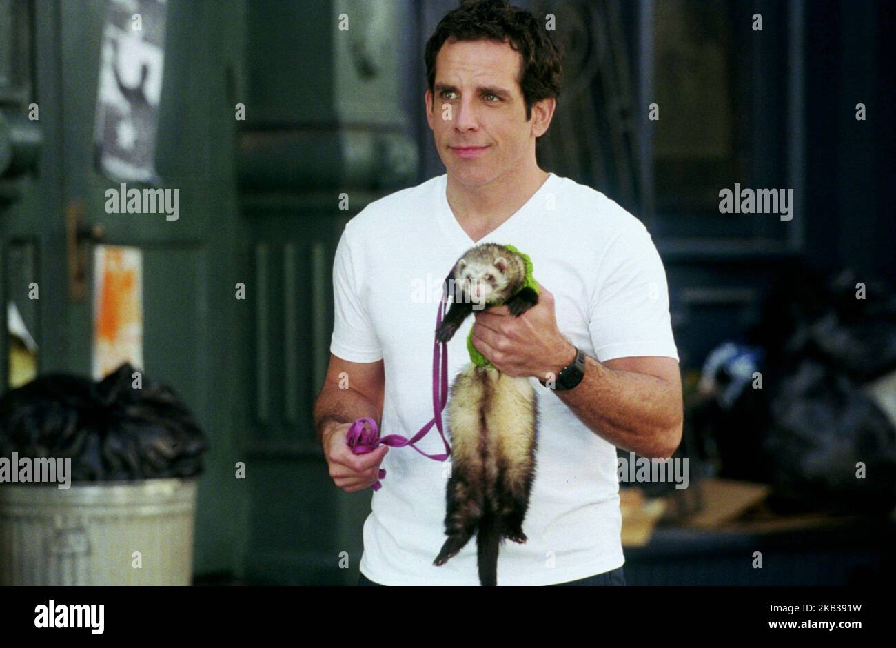 ALONG CAME POLLY, BEN STILLER WITH FERRET, 2004 Stock Photo - Alamy