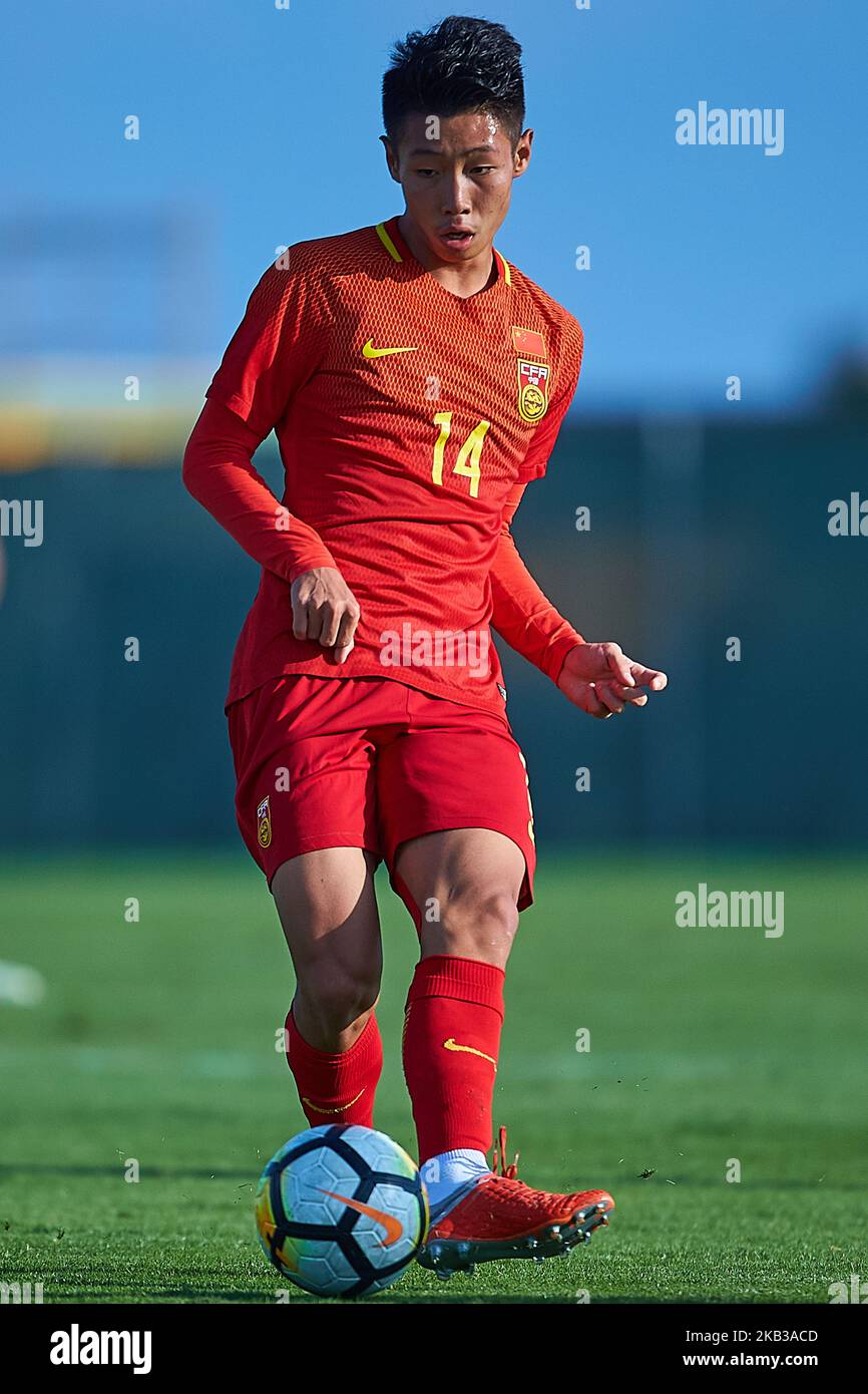 Cinau18 hi-res stock photography and images - Alamy