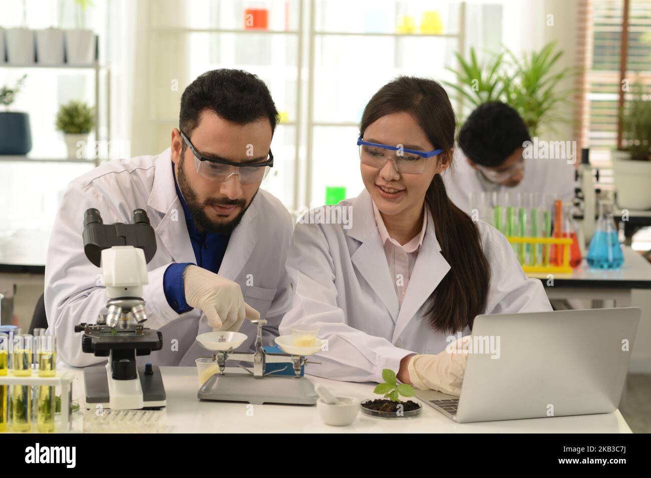 Lab experiments on plants hi-res stock photography and images - Alamy