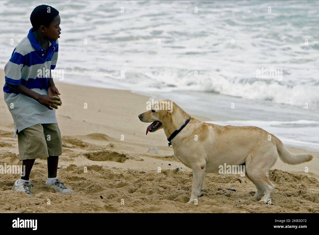 Kelley the dog hi-res stock photography and images - Alamy