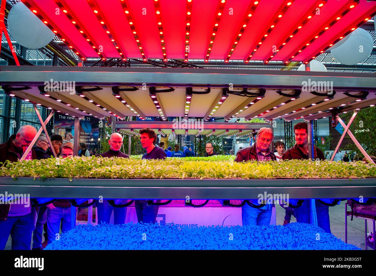 City Farming, the innovative farming technologies mean that plants can ...