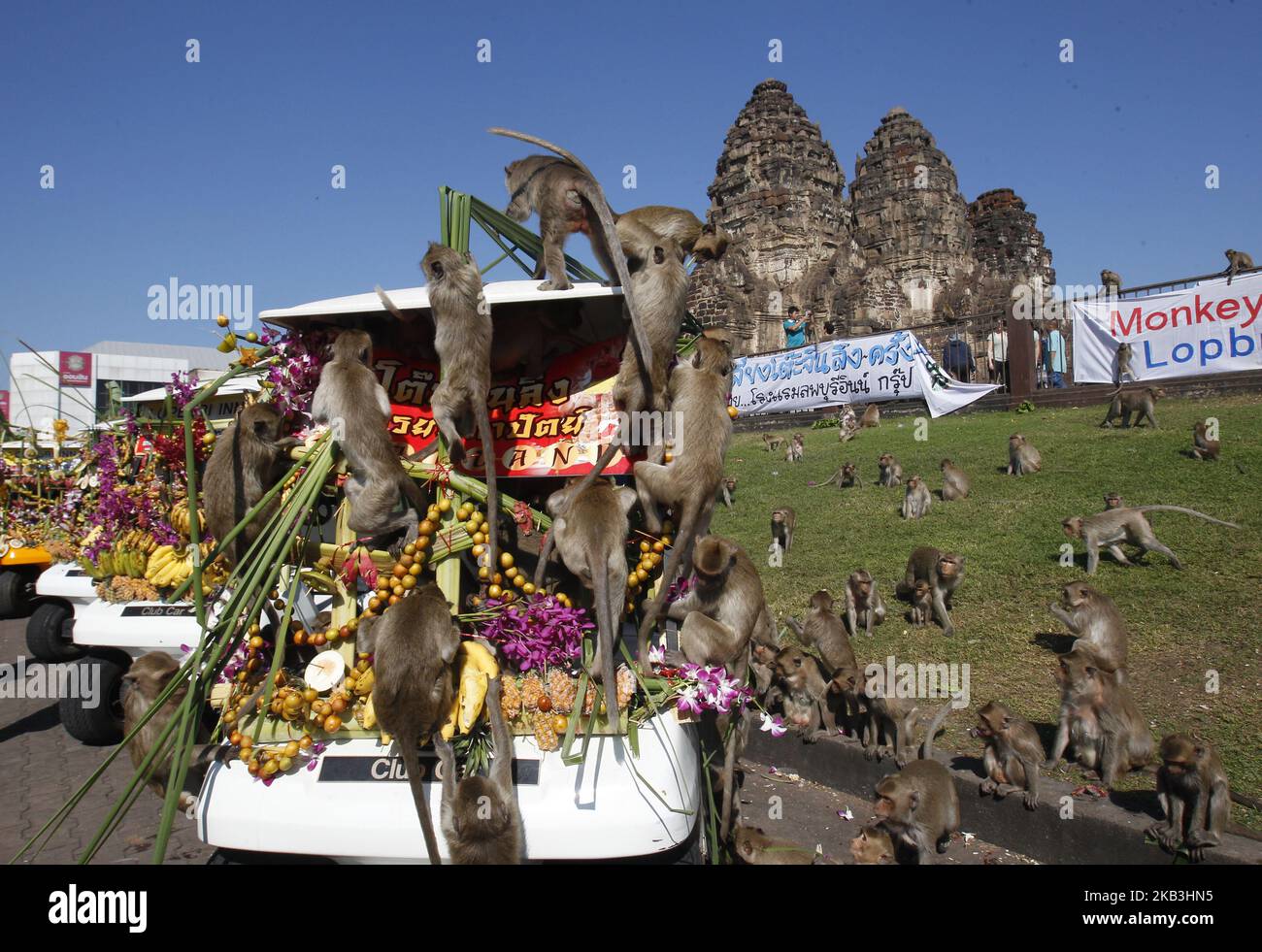 Monkeys eat fruits and vegetables during the annual Monkey Buffet ...