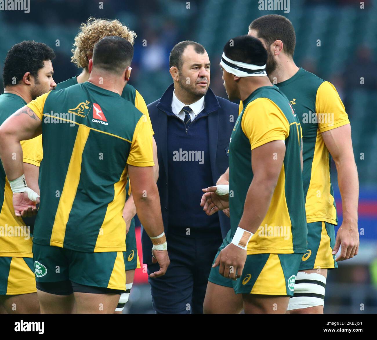London, UK, 24 November, 2018 Australia's Coach Michael Cheika during ...