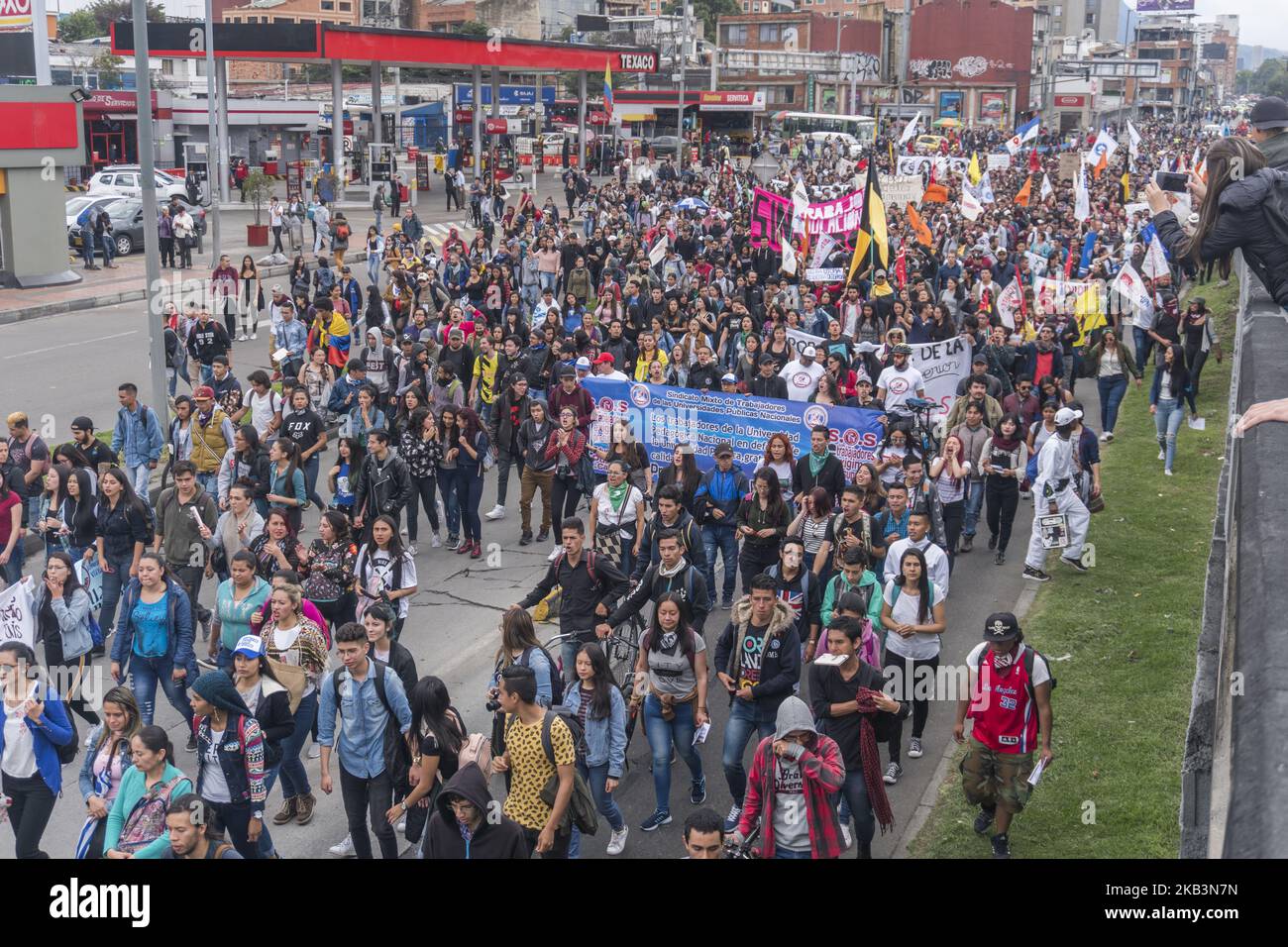 A general view of the crowd in the march of students for public ...