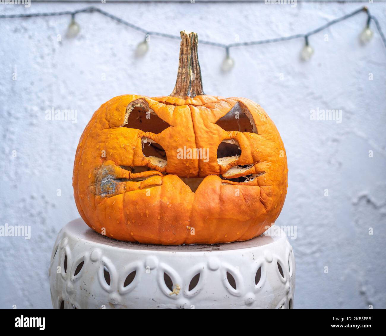 A Jack-o'-lantern with face of a cat begins to rot and decay after ...