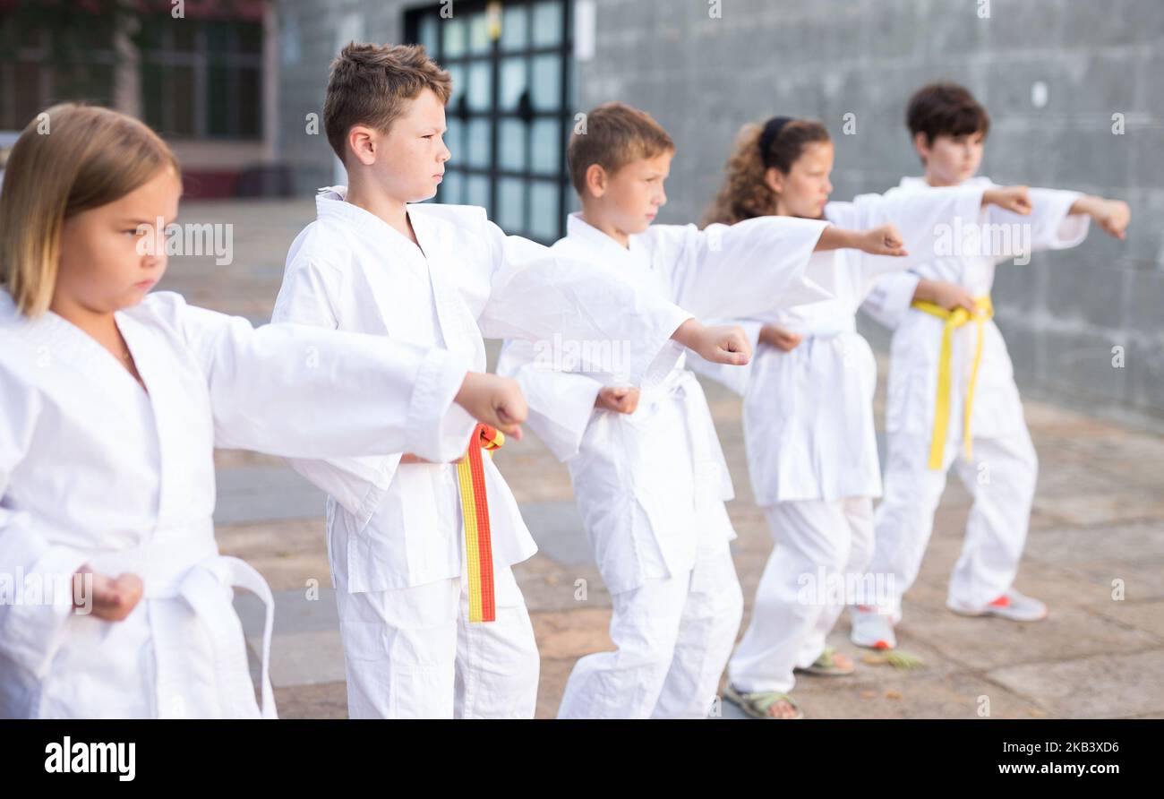 Children are standing in the fighting stance karate Stock Photo - Alamy