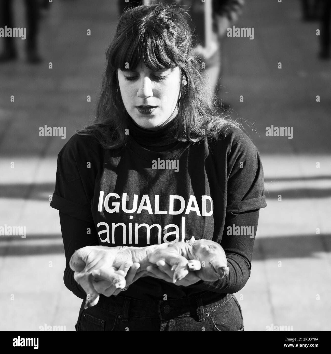 Human animal equality Black and White Stock Photos & Images - Alamy