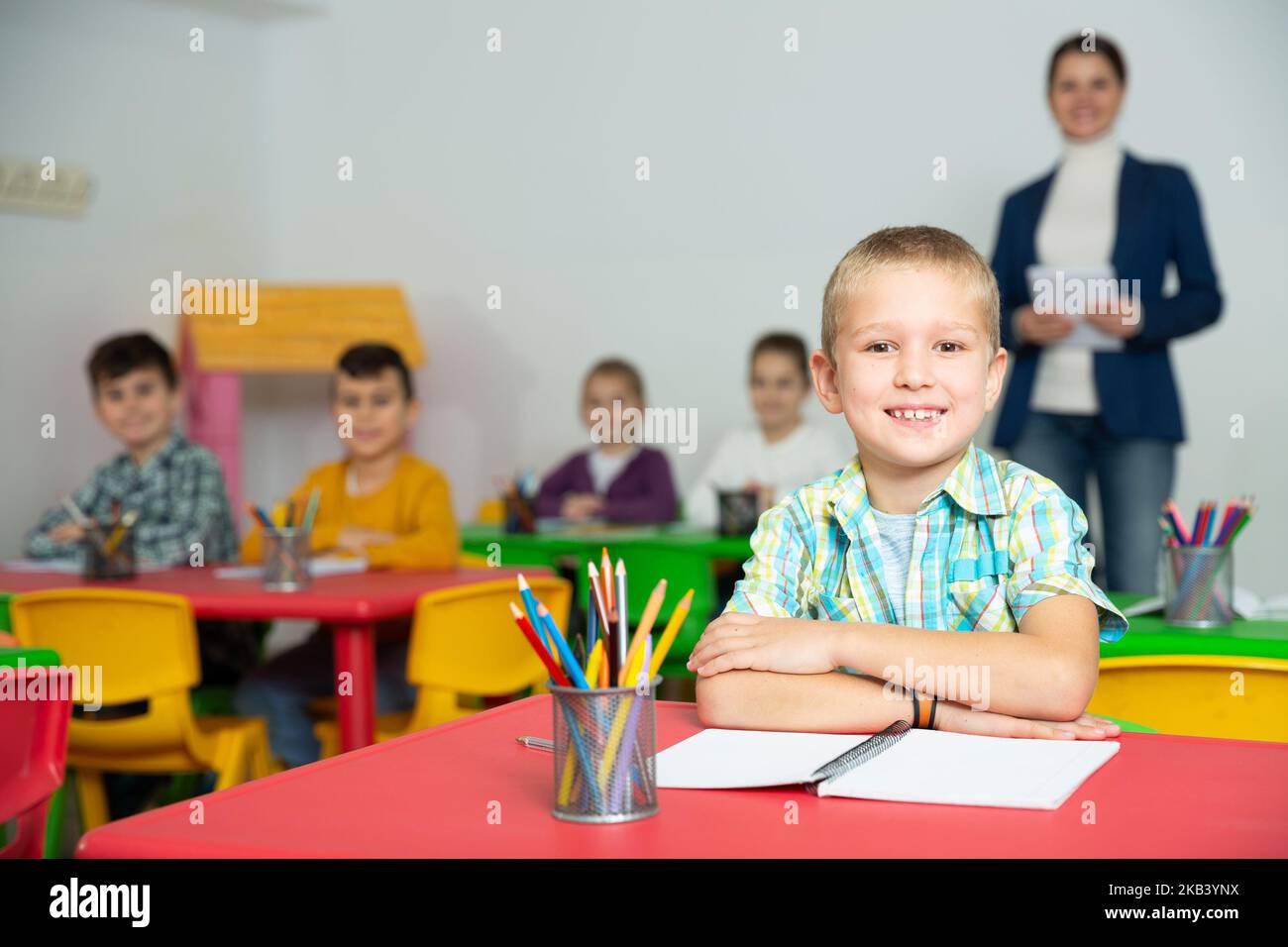Intelligent schoolboy in classroom Stock Photo - Alamy