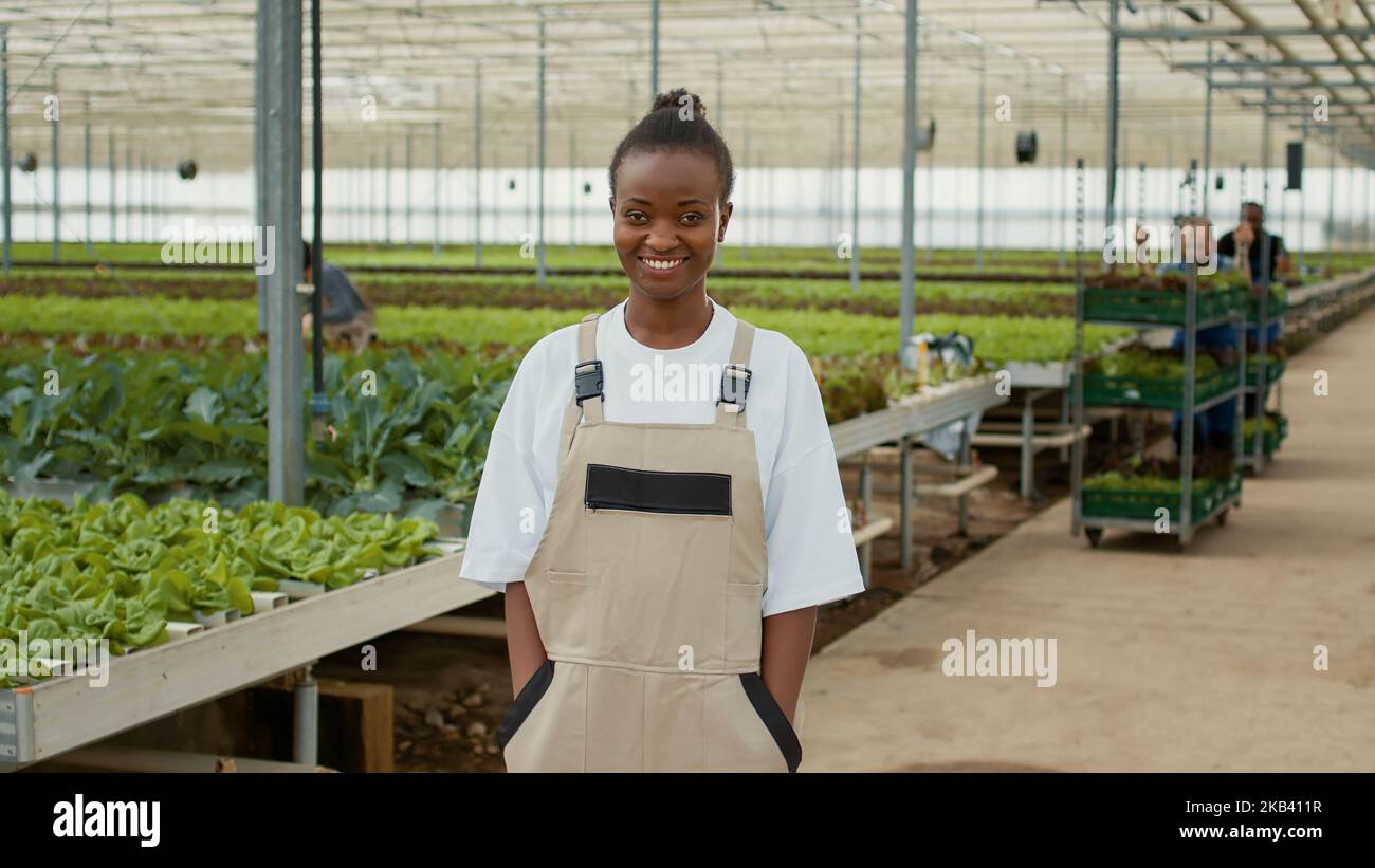 Portrait of smiling african american greenhouse worker in hydroponics ...