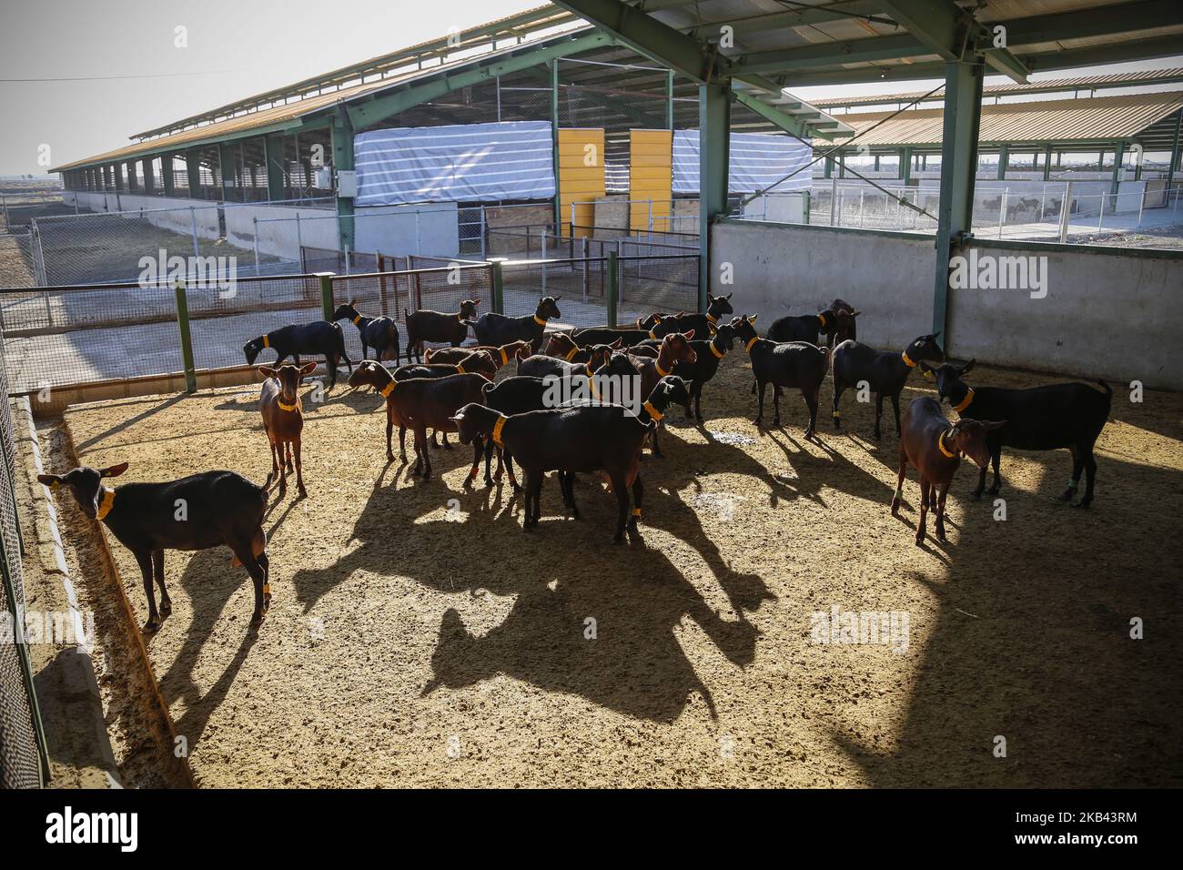 Qaleh ganj county hi-res stock photography and images - Alamy