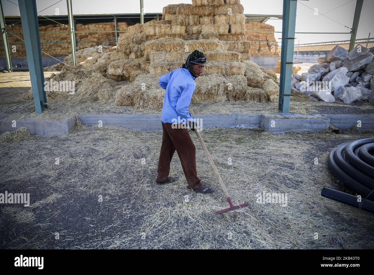 Qaleh ganj county hi-res stock photography and images - Alamy