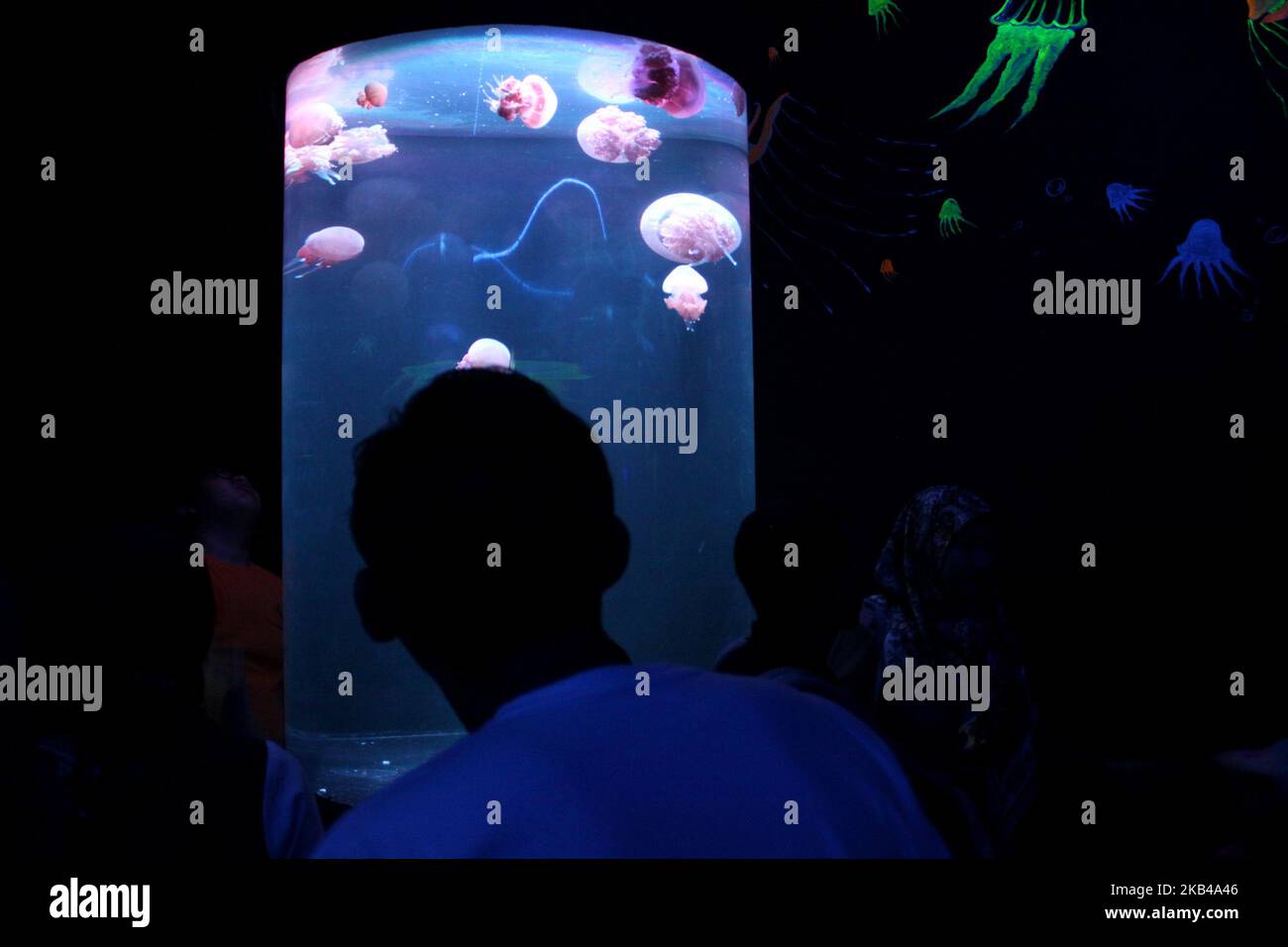 Visitors watched the Spotted Jellyfish at Jellyfish Sphere of Indonesia ...
