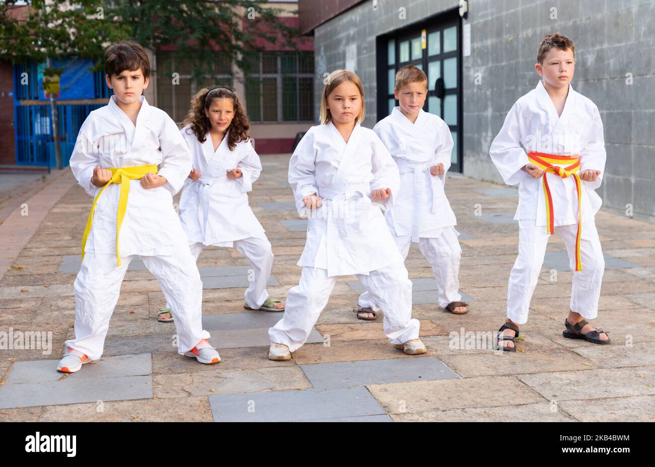 Group of schoolchildren practicing karate at schoolyard Stock Photo - Alamy