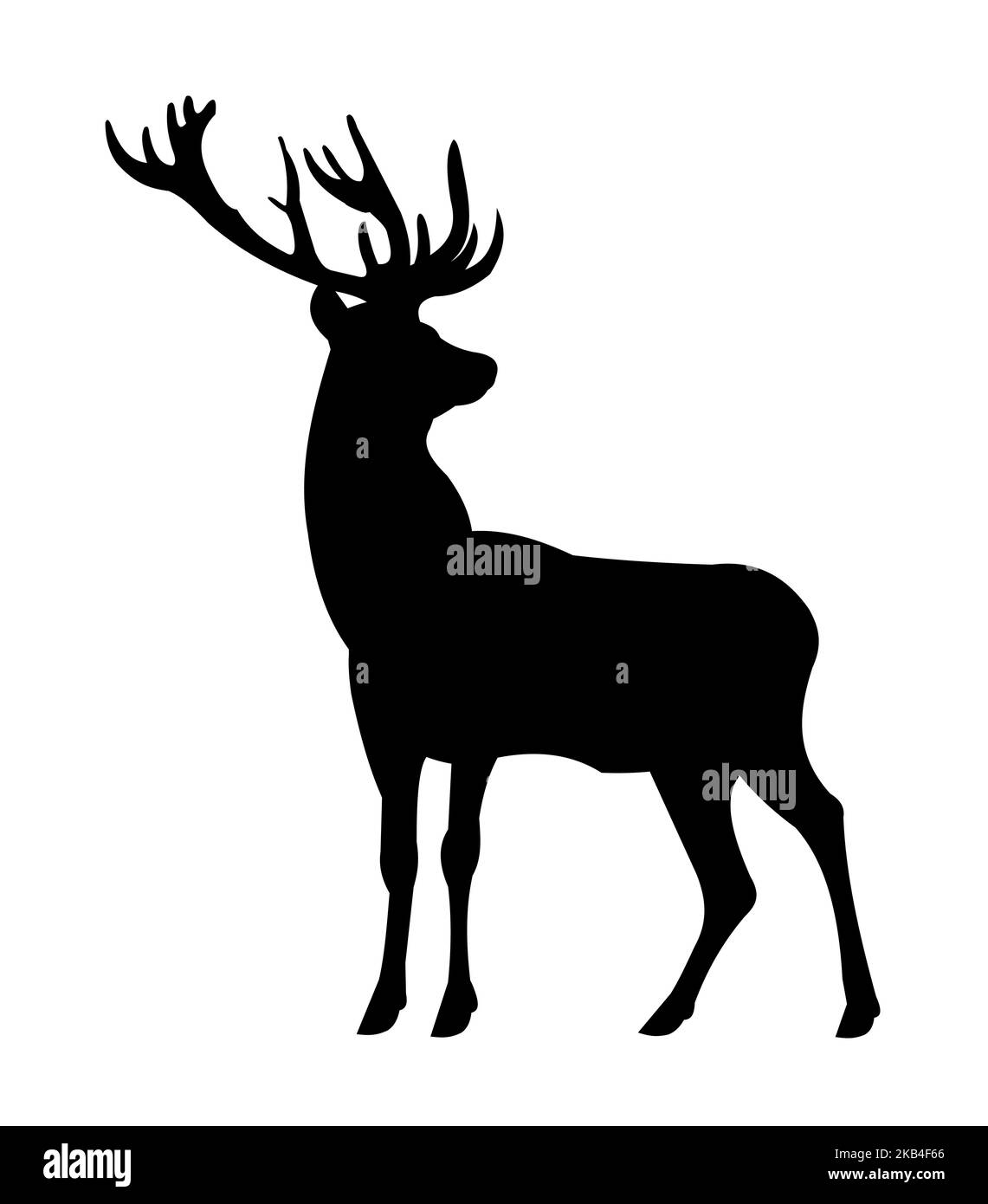 Adult male deer looks back. Wild animals. Silhouette figures. Isolated ...
