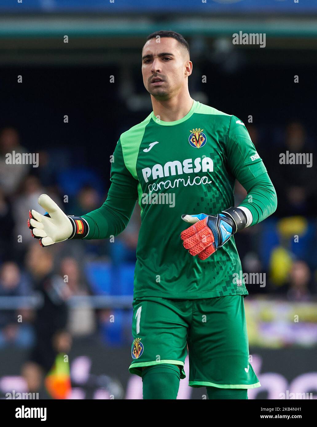 Sergio Asenjo of Villarreal during the La Liga Santander match between Villarreal and Athletic ...
