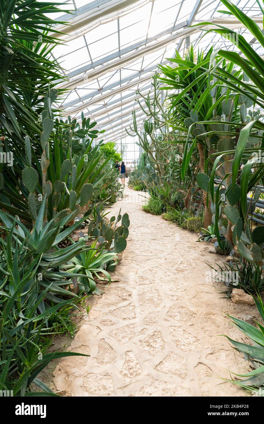 The Cactus exhibition at the Botanical Gardens in Balchik, Bulgaria ...