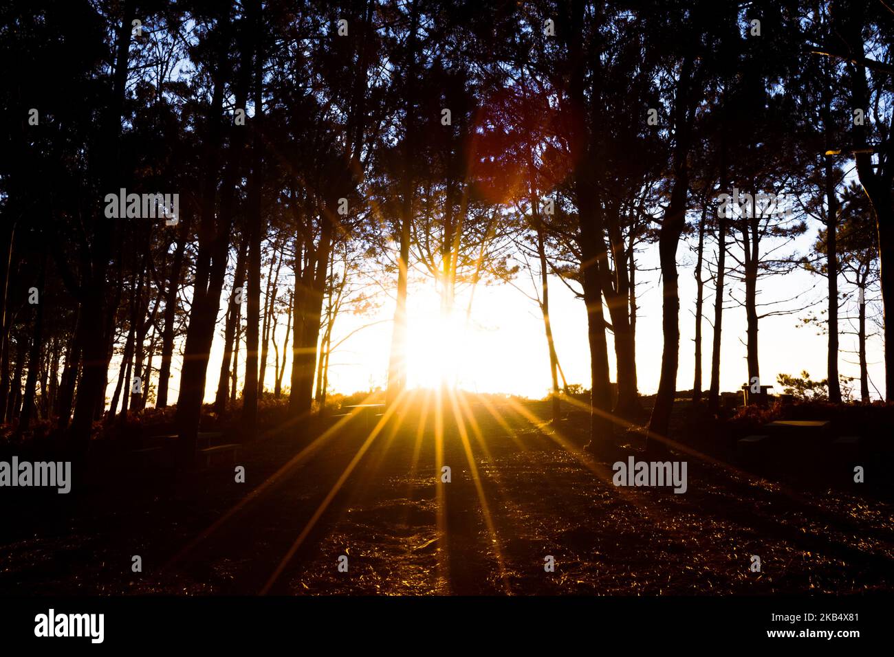 Beautiful sunset bright sun rays hi-res stock photography and images ...