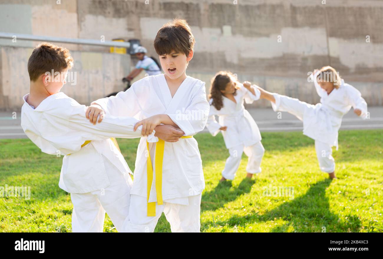 Children practicing karate in pairs at a park Stock Photo - Alamy