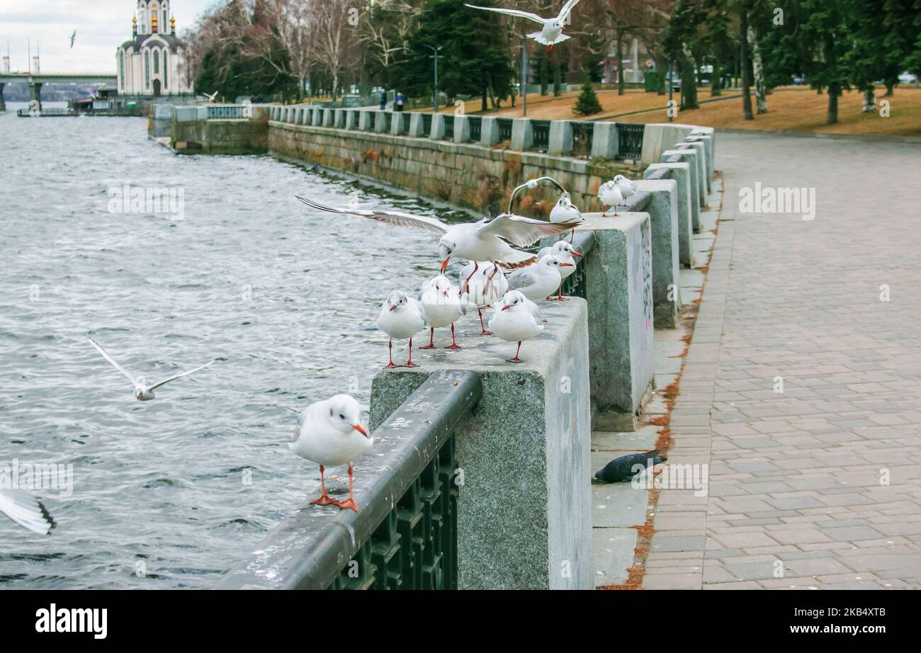 Sit on parapet hi-res stock photography and images - Alamy
