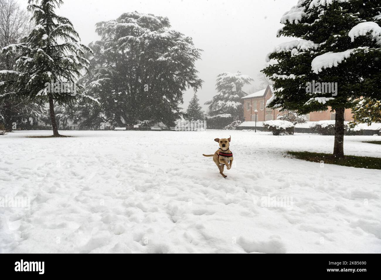 A blizzard on the plains hi-res stock photography and images - Alamy