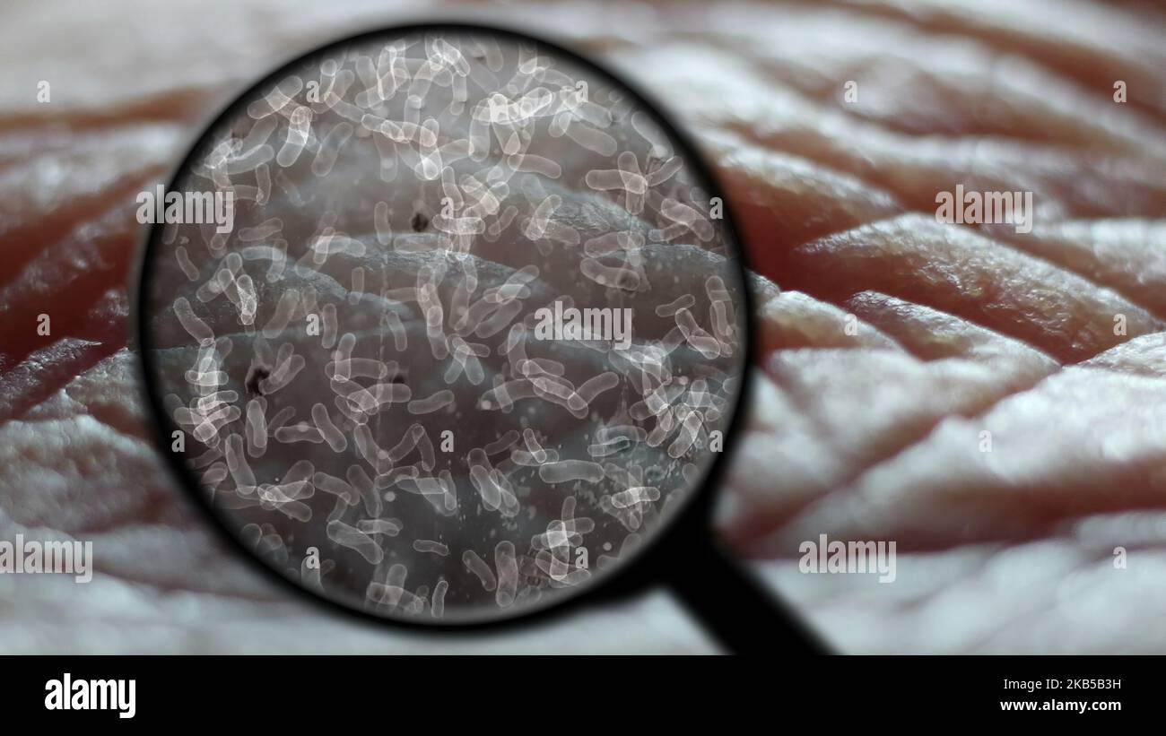 Searching for bacteria on human skin Stock Photo - Alamy
