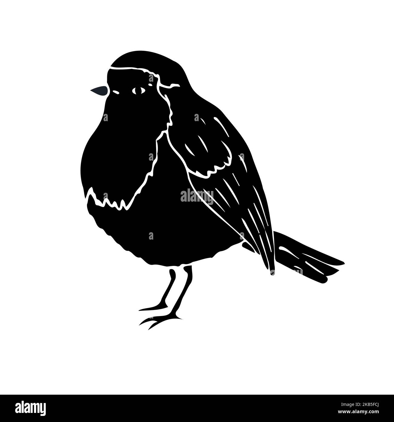 Vector hand drawn doodle sketch black robin redbreast bird isolated on white background Stock ...