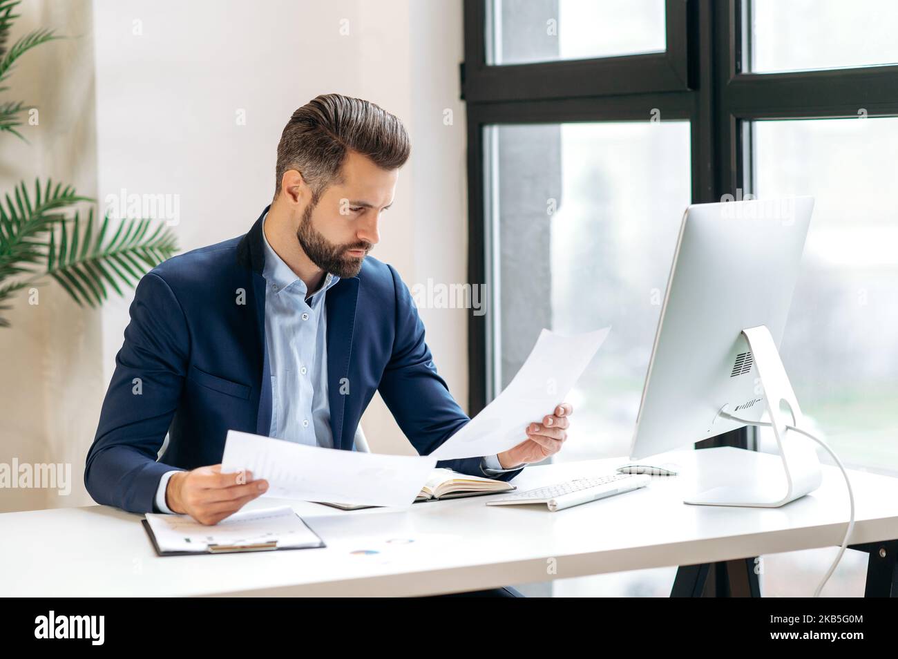 Focused clever successful caucasian company boss, financial director ...